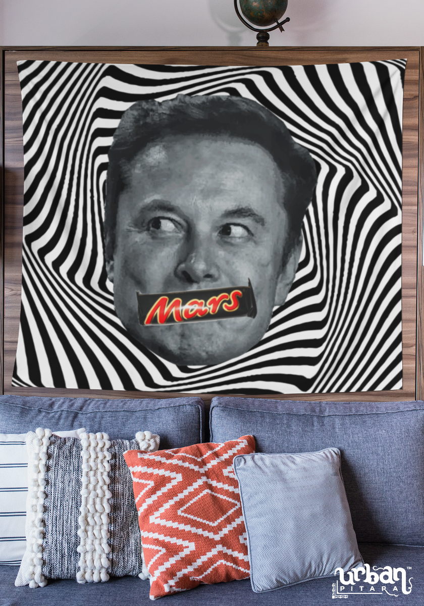 Elon Mars Flag